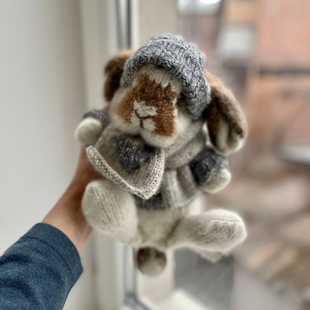 Knitted Holland Lop Bunny in a Clothes Knitted Realistic Bunny in a Hat ...