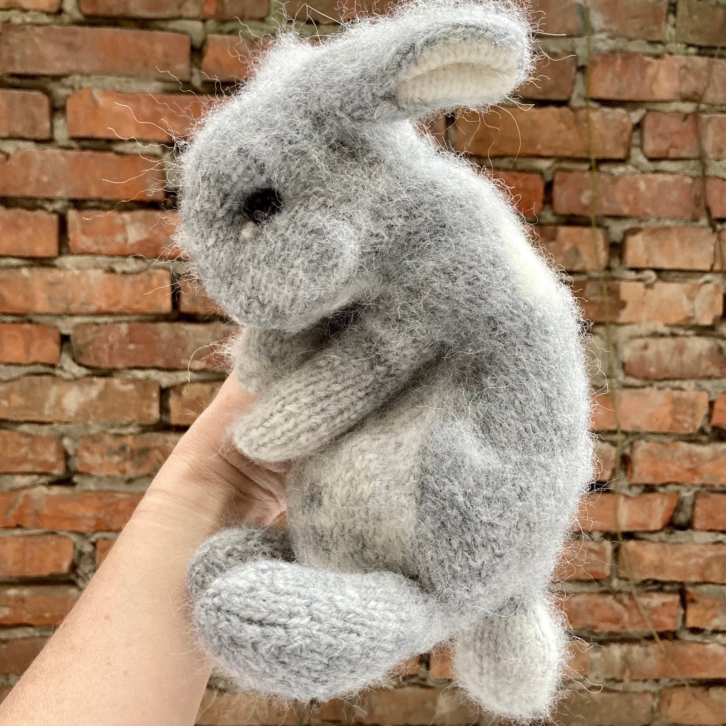 Grey Dwarf Rabbit