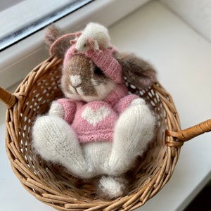 Knitted Holland Lop Bunny in Clothes With a Mouse Knitted Realistic ...