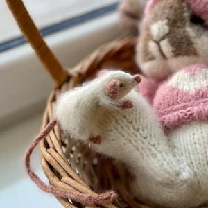 Knitted Holland Lop Bunny in Clothes With a Mouse Knitted Realistic ...