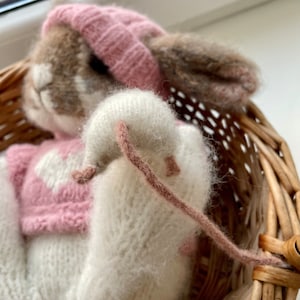 Knitted Holland Lop Bunny in Clothes With a Mouse Knitted Realistic ...
