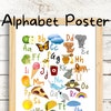 Calm Corner Printable Posters, Set of 12 Jungle Fun Prints, Calming ...