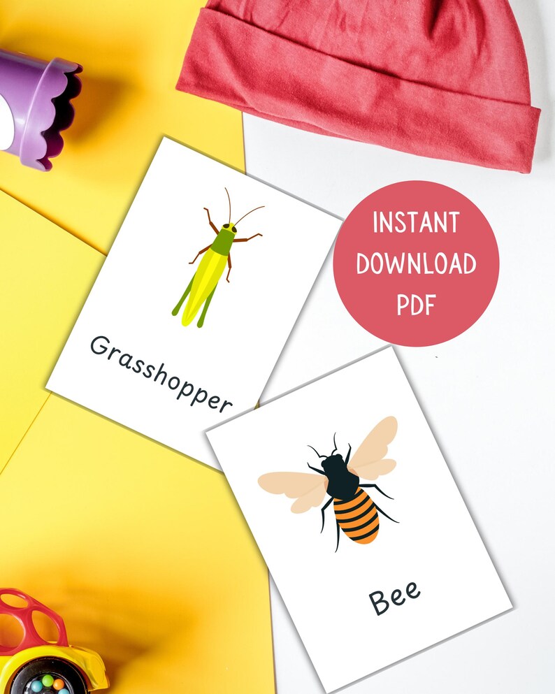 Printable Insects Flash Cards, Educational Instant Download PDF - Etsy
