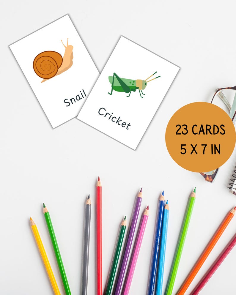 Printable Insects Flash Cards, Educational Instant Download PDF - Etsy