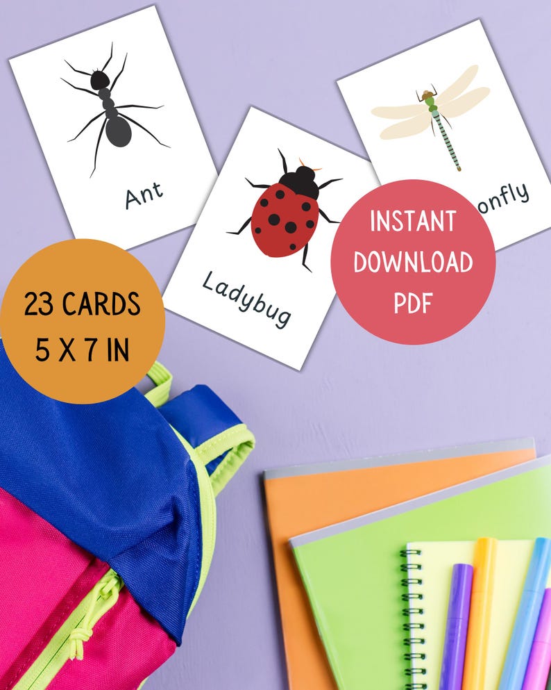 Printable Insects Flash Cards, Educational Instant Download PDF - Etsy