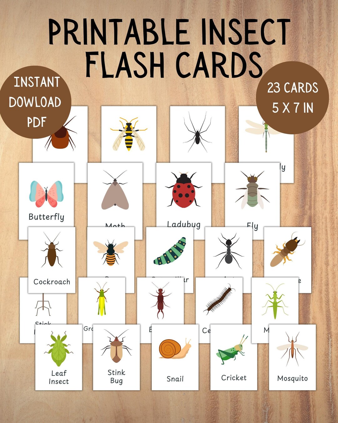 Printable Insects Flash Cards, Educational Instant Download PDF - Etsy