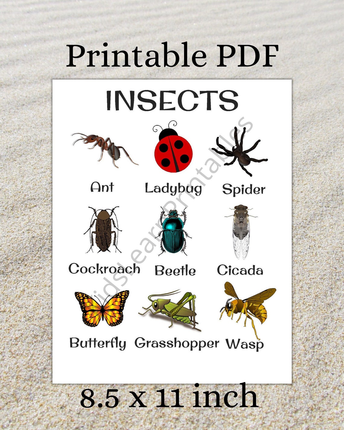 Printable Insects Words Chart Educational Home Learning 8.5 - Etsy