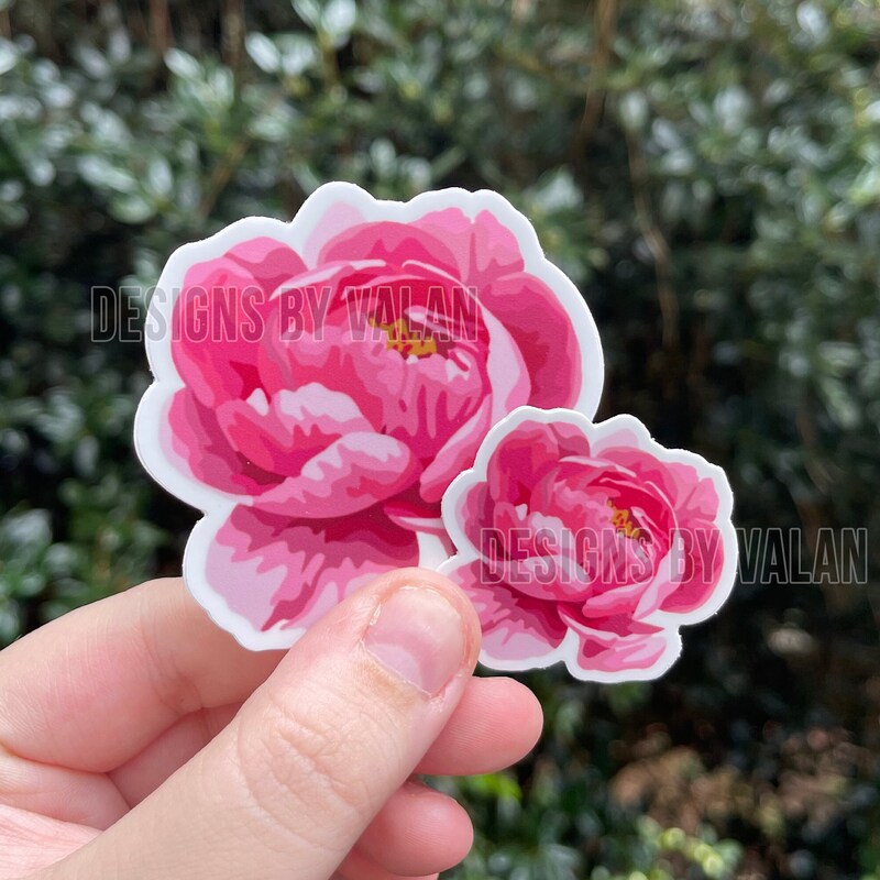 Peonies Stickers - Etsy