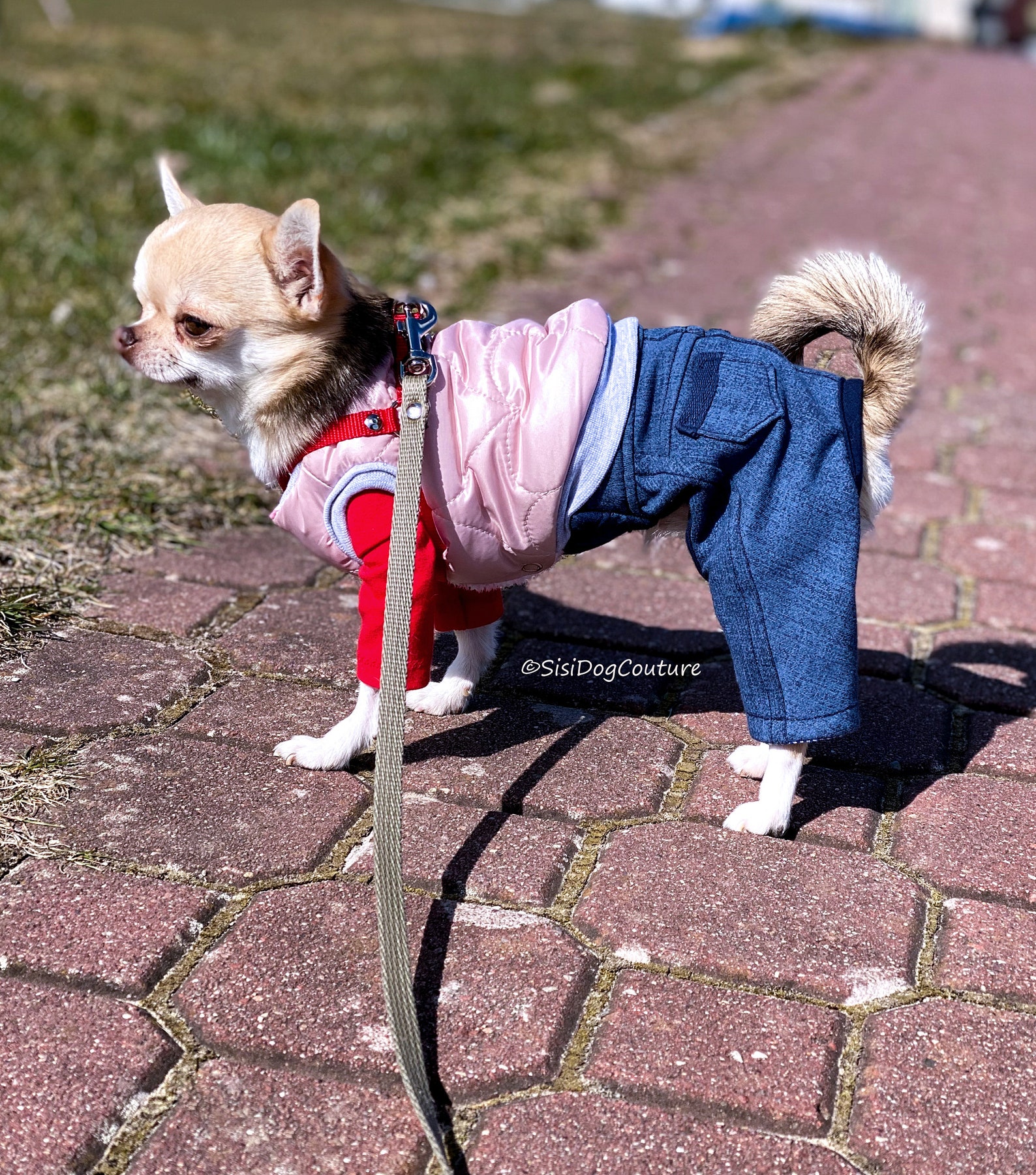 Dog Jeans Small Dog Clothes Dog Overalls Pants for Dogs - Etsy
