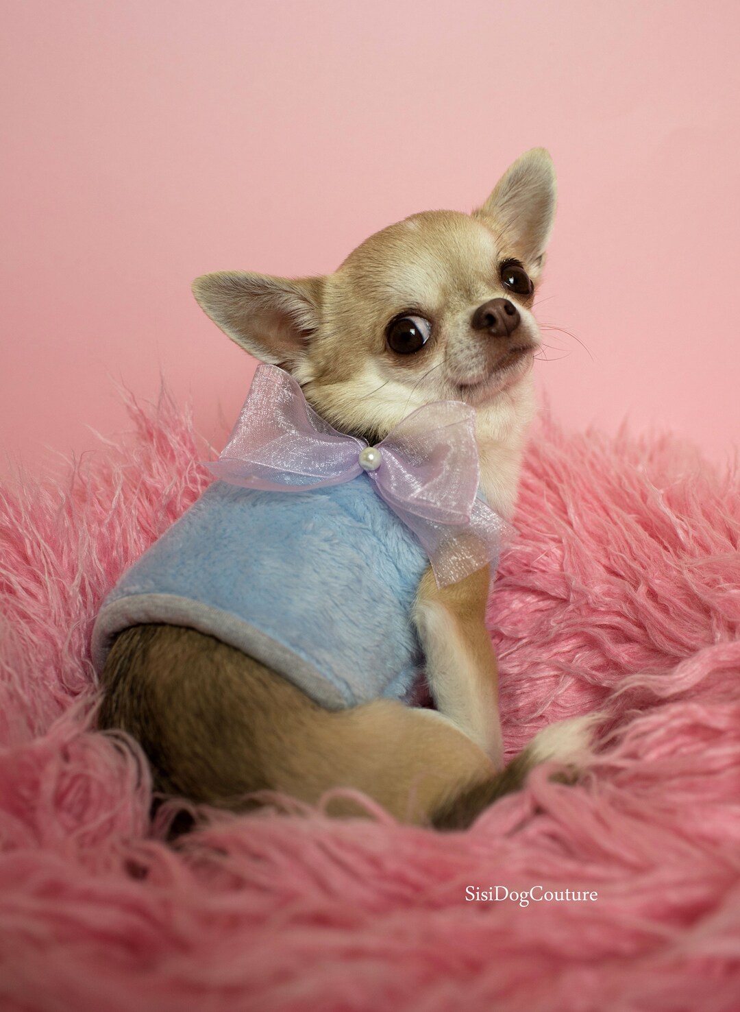 Reversible Minky Dog Vest – Soft, Warm, and Comfortable - Etsy