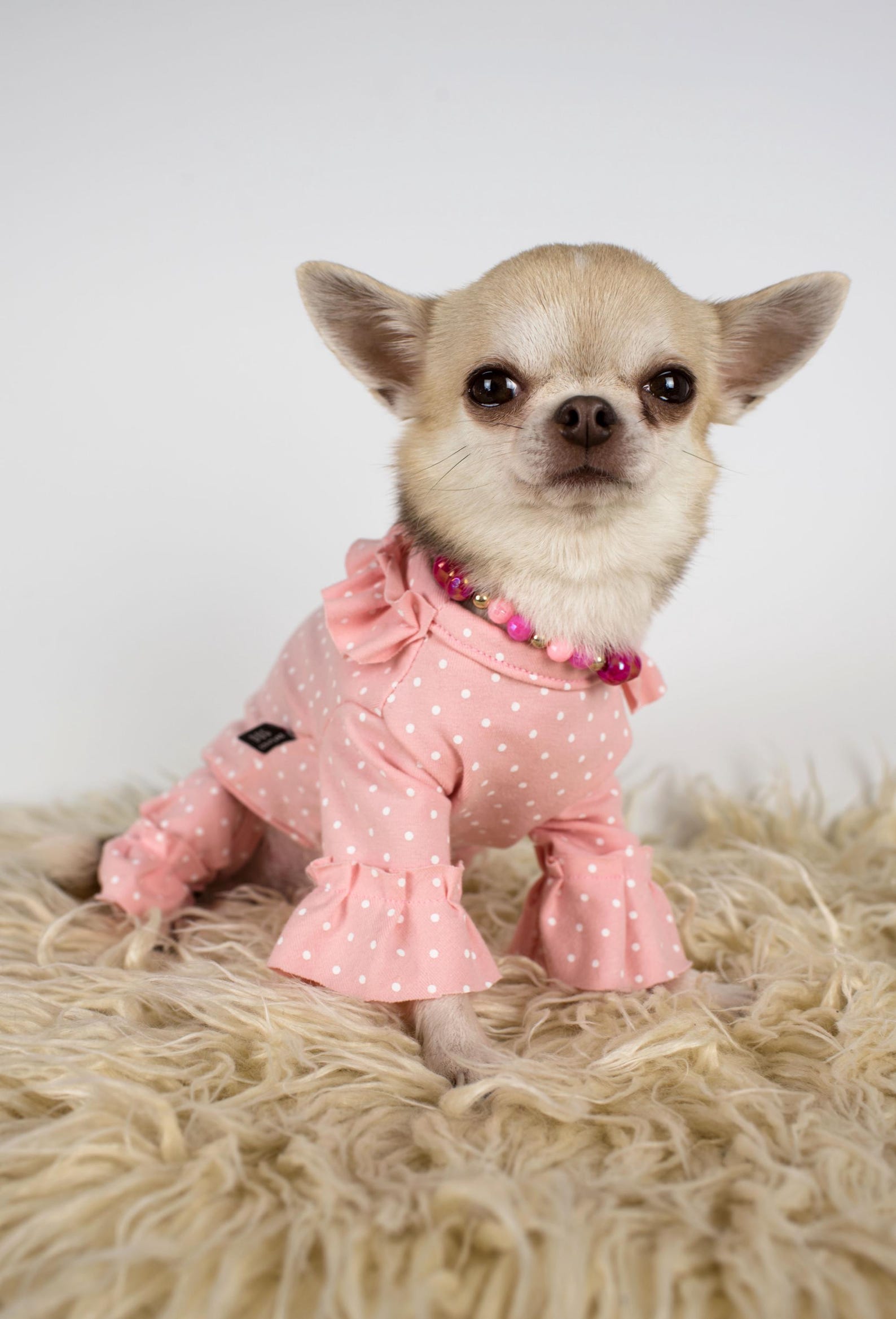 Pink Ruffle Dog Onesie: Cotton Pet Jumpsuit - Etsy