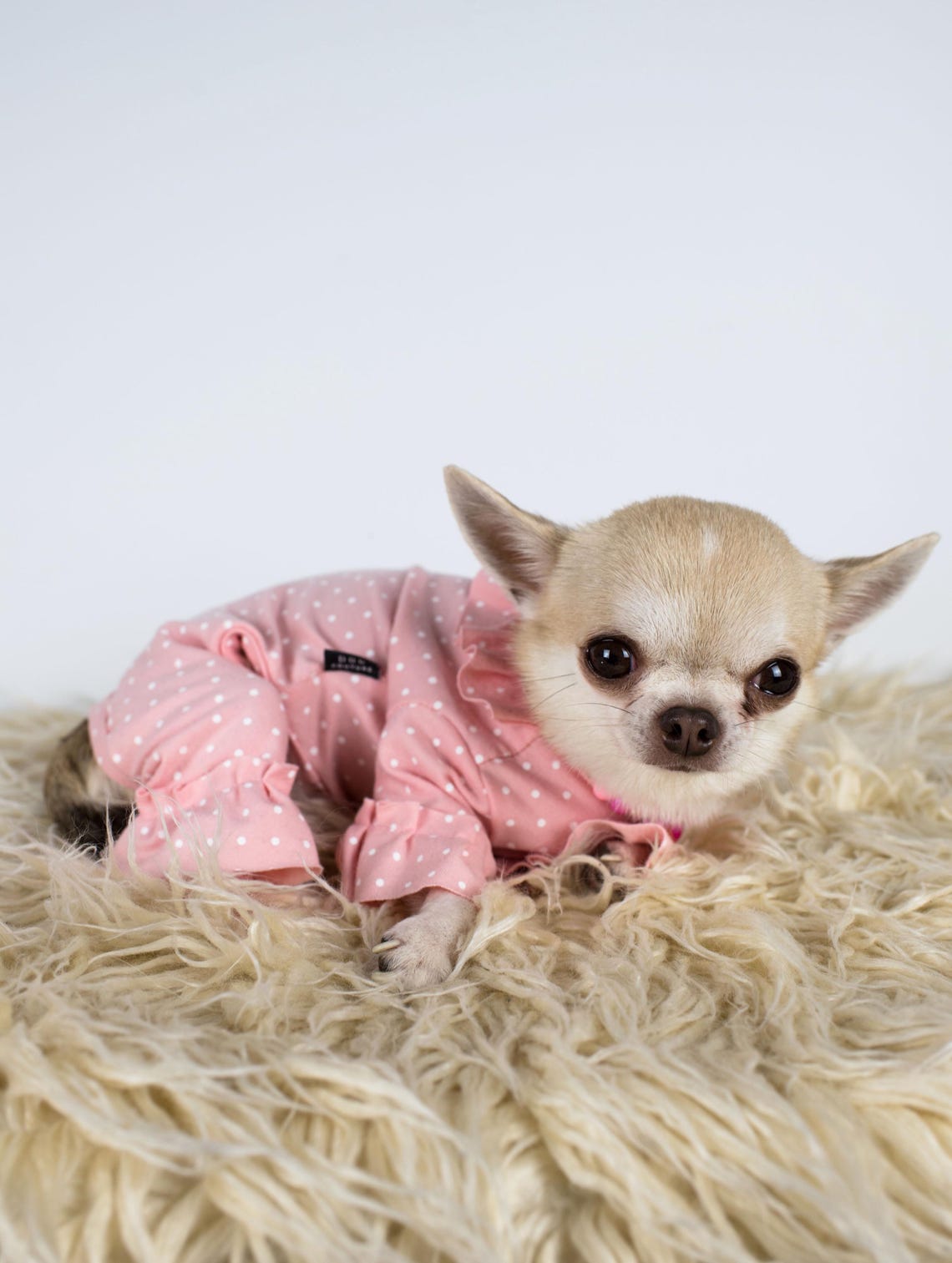 Pink Ruffle Dog Onesie: Cotton Pet Jumpsuit - Etsy