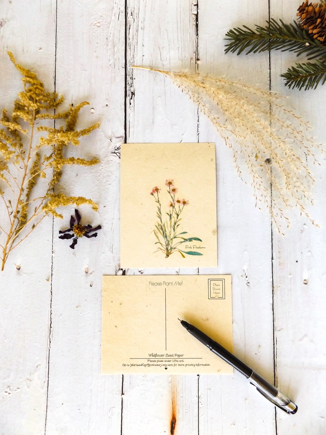 Plantable Seed Postcards || Eco-friendly Gift || Supporting Women in ...