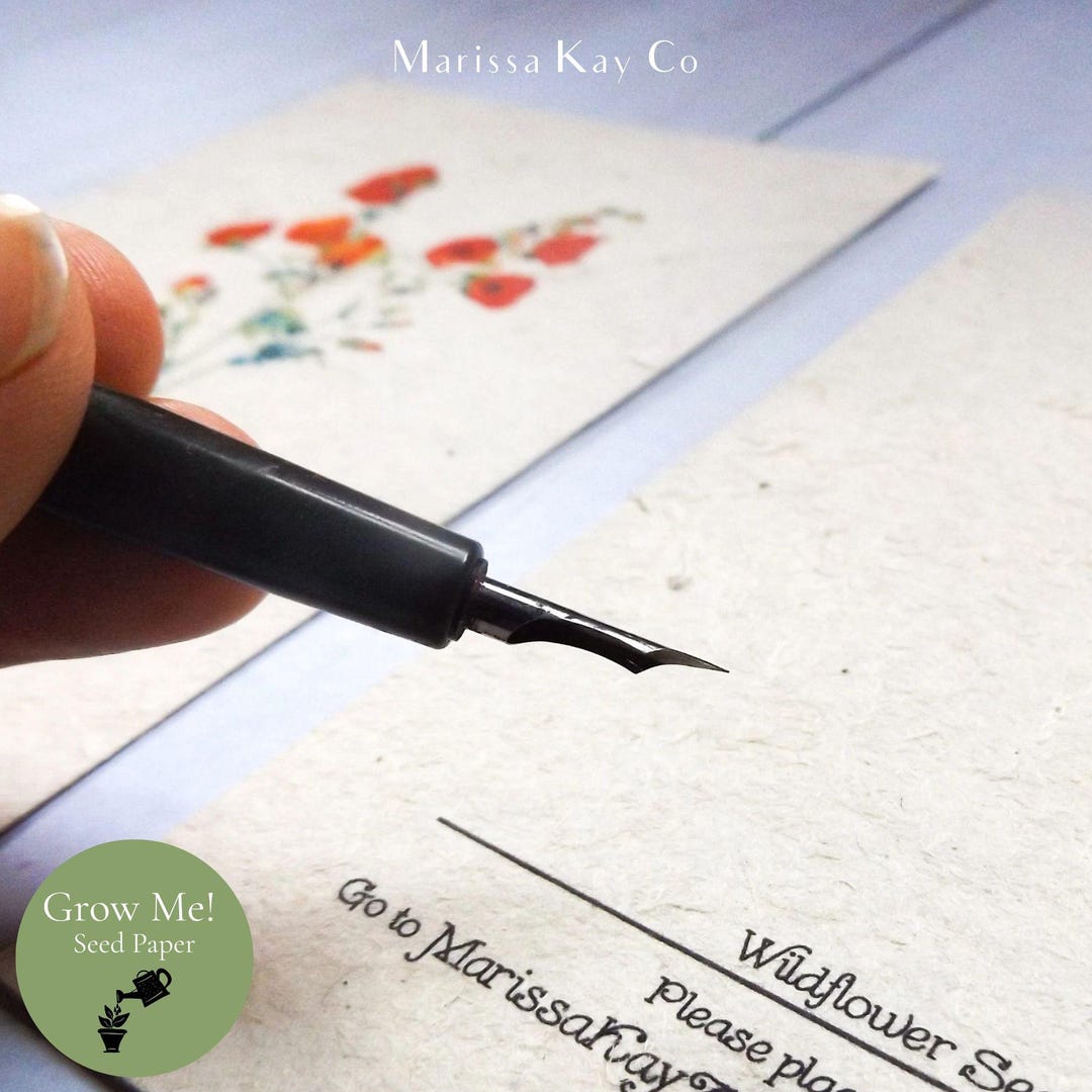 Plantable Note Cards, Wildflower Seed Paper, 6 Pack - Etsy