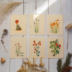 Plantable Seed Paper Postcards || Eco-friendly Gift || Variety 6 Pack ...