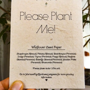 Custom Wedding Seed Cards | 20 Cards With Envelopes | Plantable ...