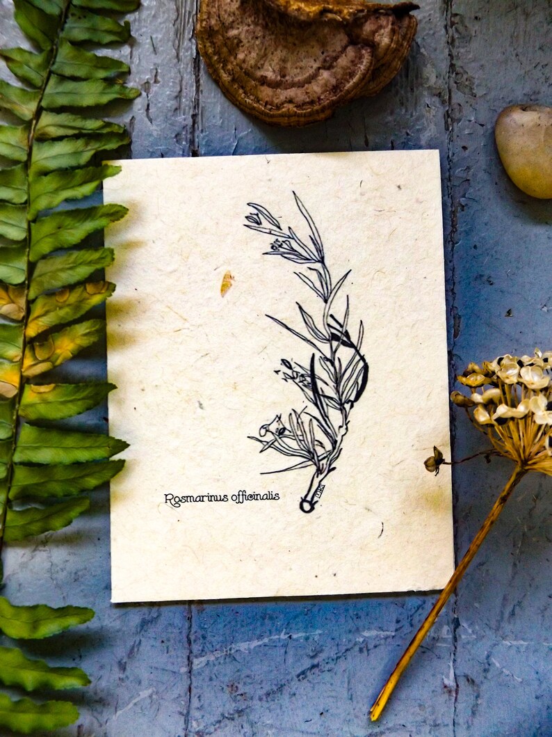 Hand Drawn Gift Card || Plantable Wildflower Seed Paper || Eco-freindly ...