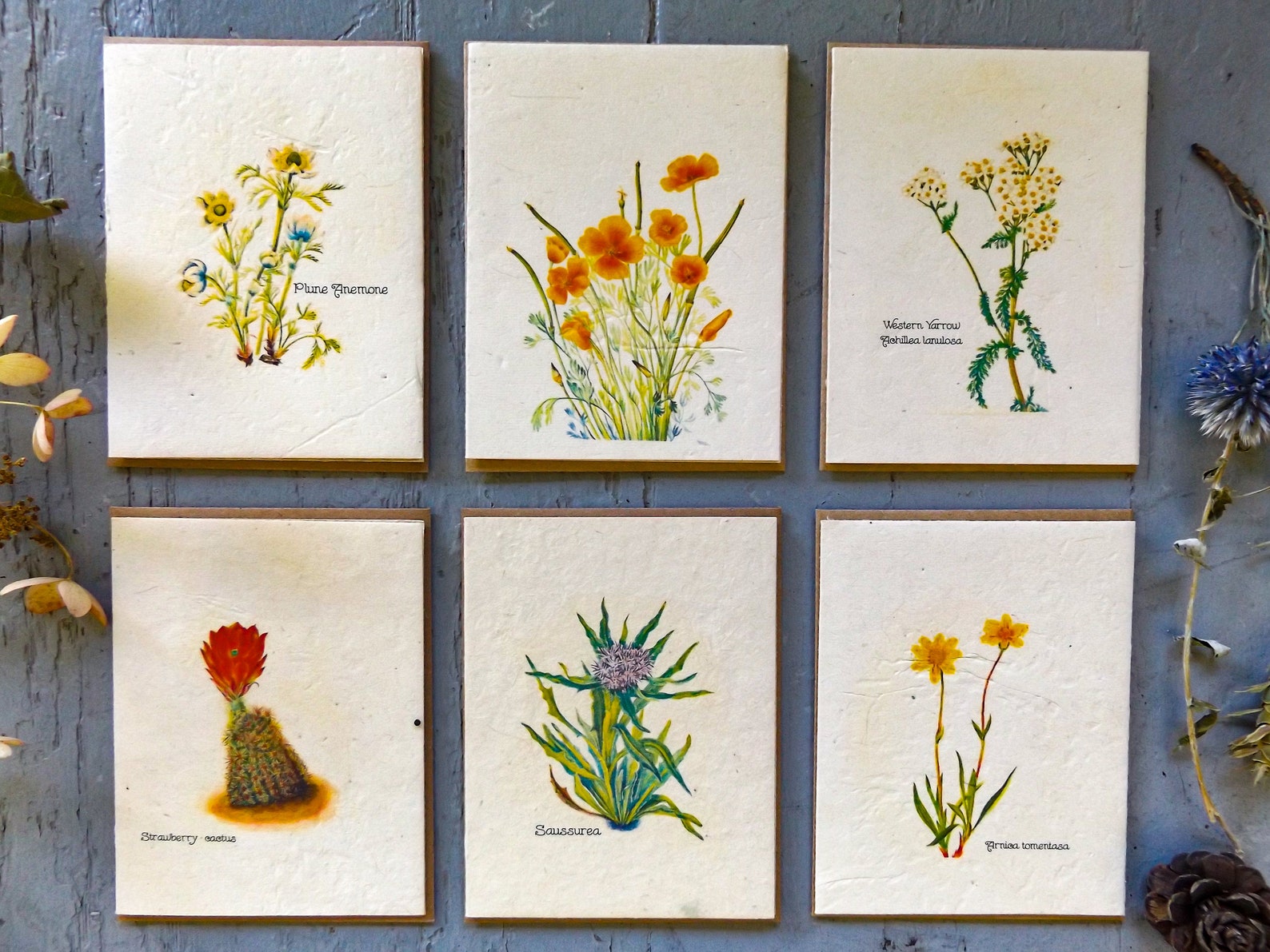 Plantable Seed Cards With Envelopes Variety Pack6 - Etsy