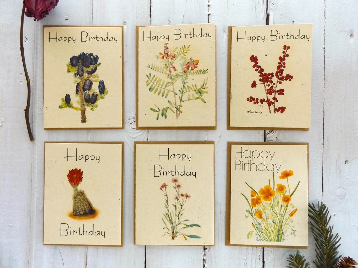 Happy Birthday Seed Cards With Envelopes Variety Pack6 | Etsy