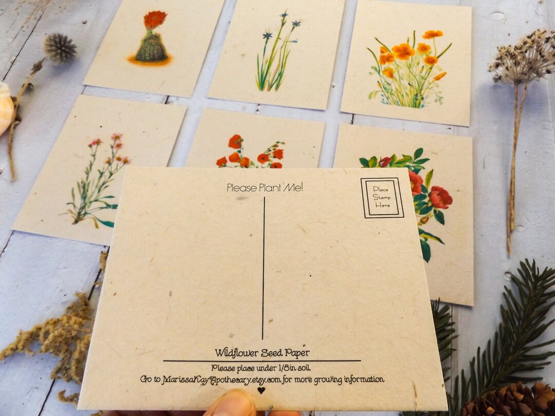 Plantable Seed Paper Postcards || Eco-friendly Gift || Variety 6 Pack ...