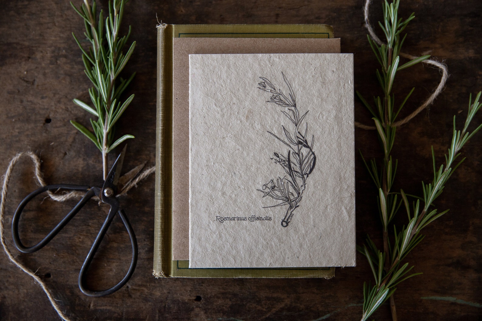 Hand Drawn Gift Card || Plantable Wildflower Seed Paper || Eco-freindly ...
