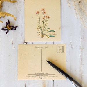 Plantable Seed Paper Postcards || Eco-friendly Gift || Variety 6 Pack ...