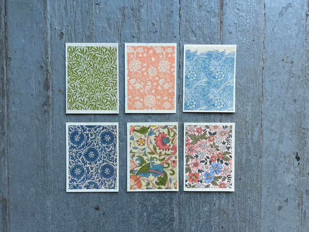 Plantable Seed Cards With Envelopes || Unique Variety Pack || Eco ...