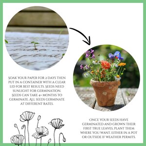 Seed Paper Cards || Blank or Personalized Insert || Hand Drawn || Eco ...