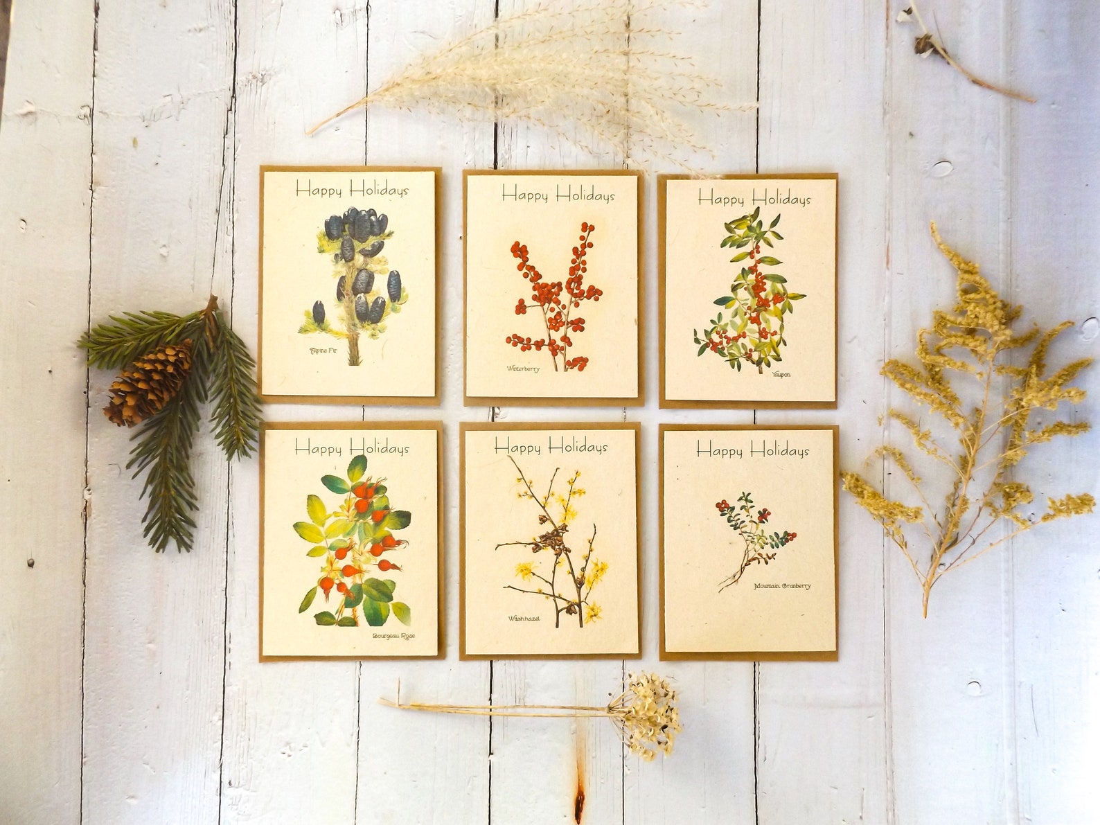 Holiday Plantable Seed Cards With Envelopes || Variety Pack(6 ...