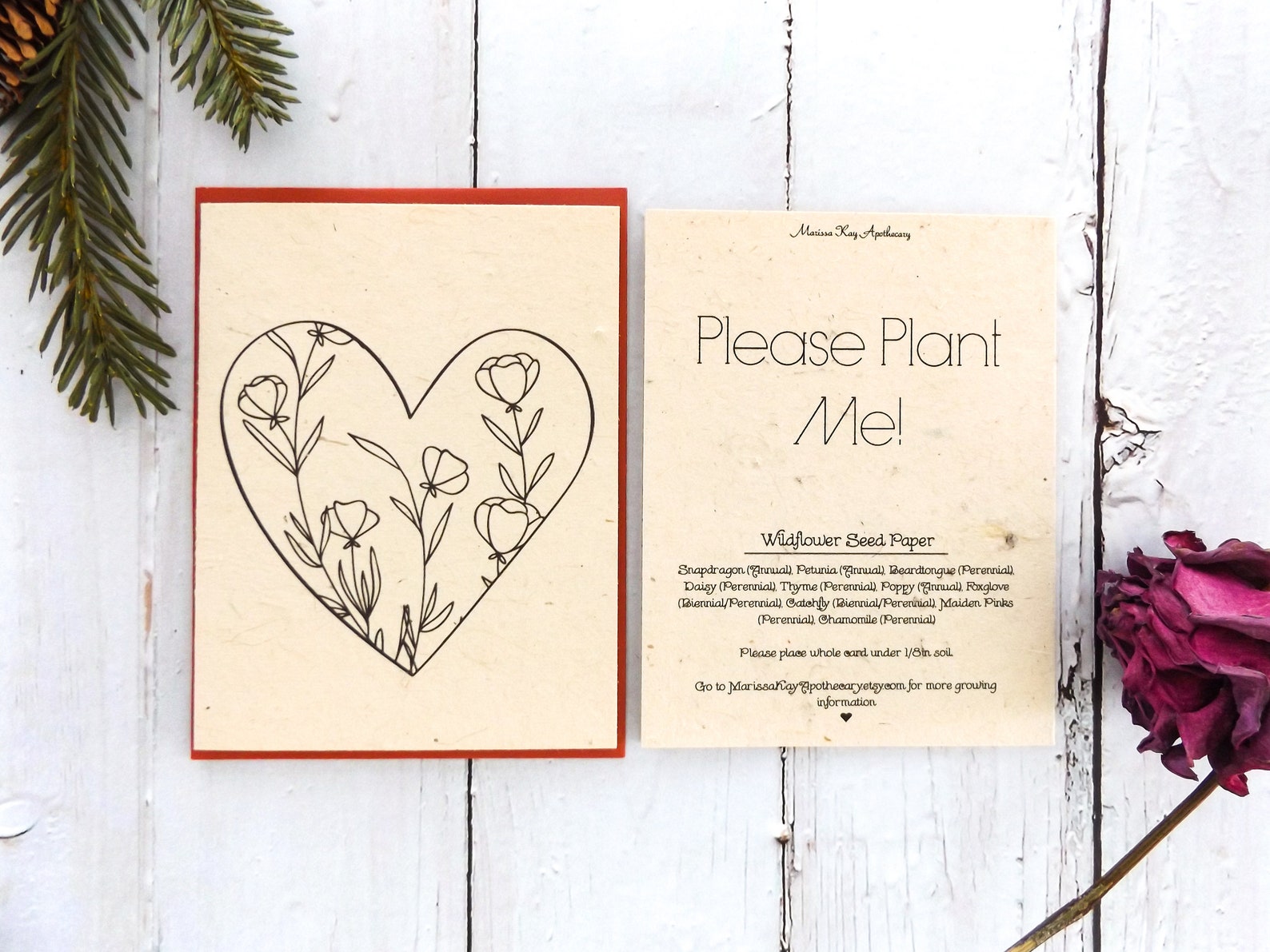 Plantable Valentines Seed Cards With Envelopes || Supports Women in ...