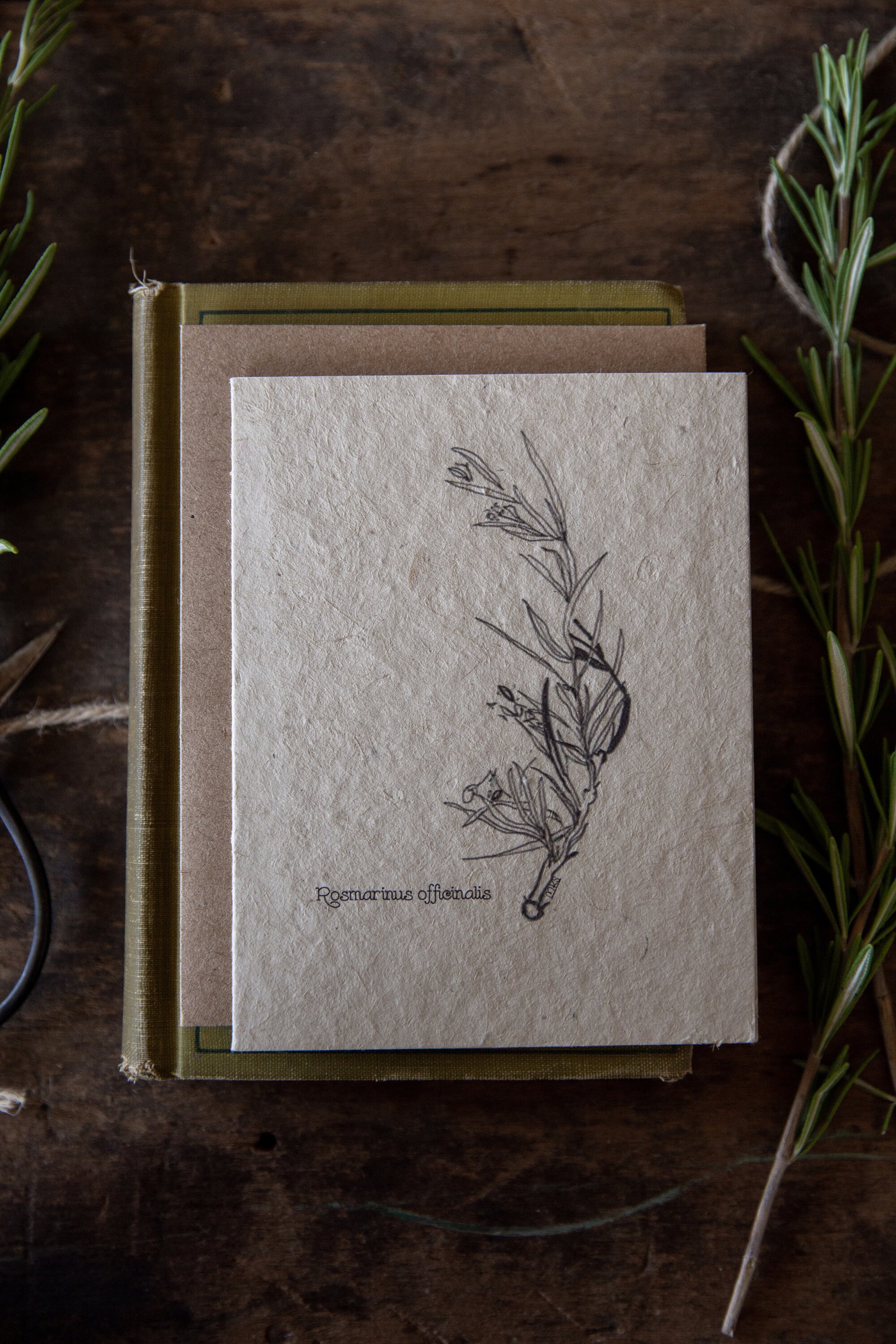 Hand Drawn Gift Card Plantable Wildflower Seed Paper 6 - Etsy