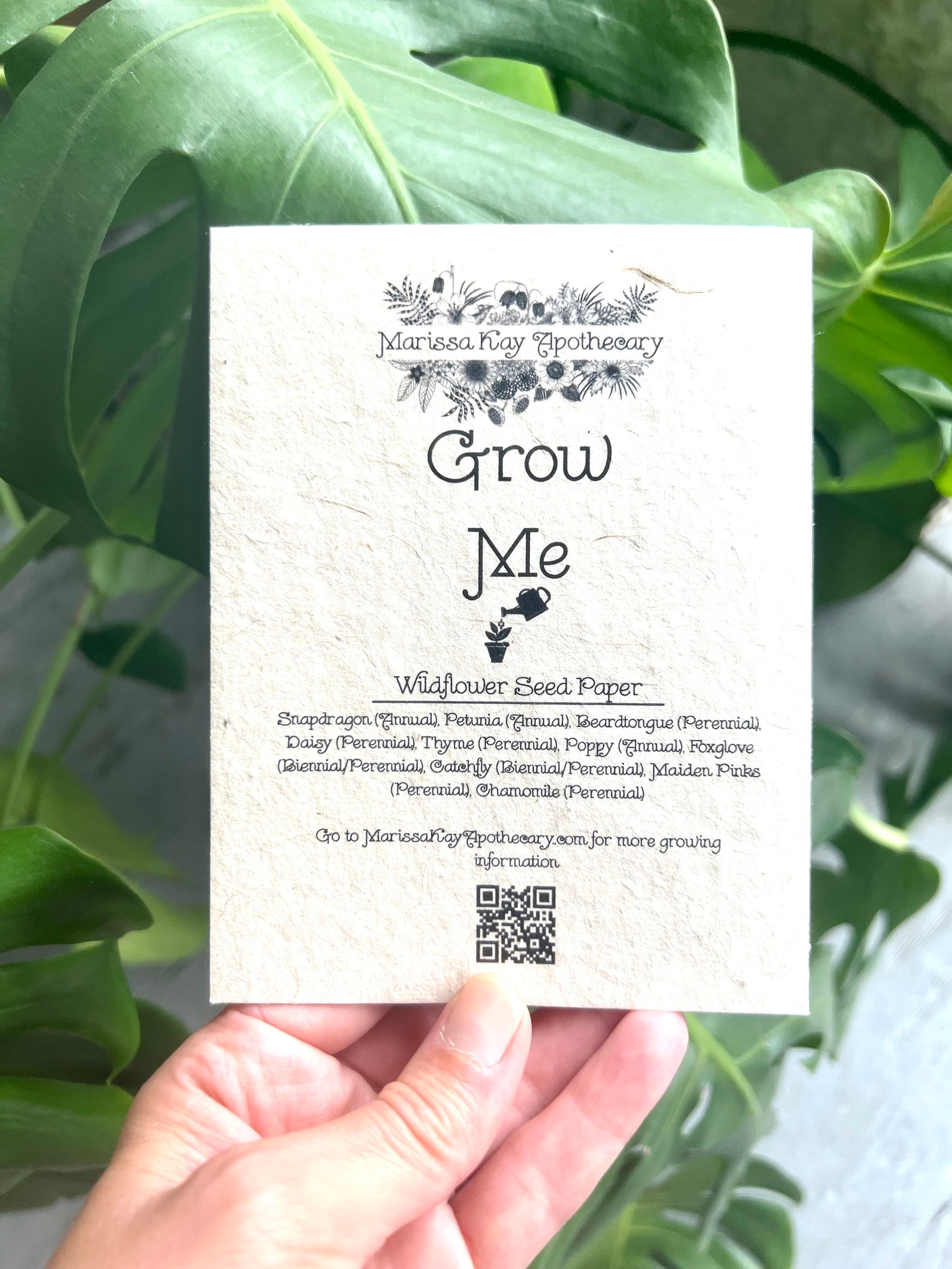 Bulk Seed Cards 50ct With Envelopes || Variety Pack || Supports Women ...