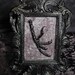 Gothic Unusual Crow Raven Foot in Vintage Style Ornate Frame on Velvet ...