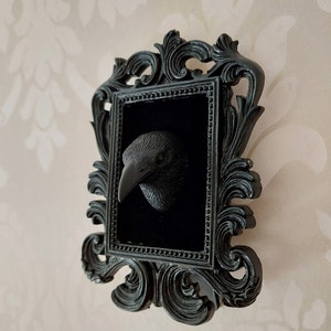 Gothic Miniature Faux Crow Raven Head in Baroque Oval Wall Frame ...