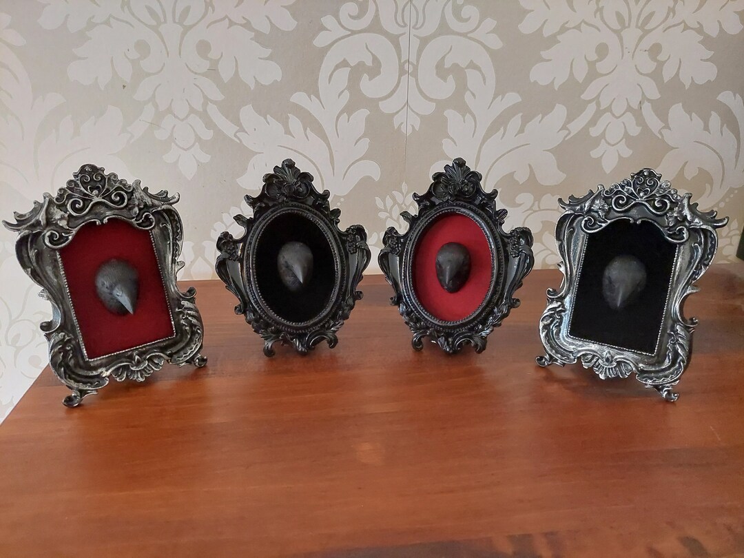Gothic Miniature Faux Crow Raven Head in Baroque Oval Wall - Etsy