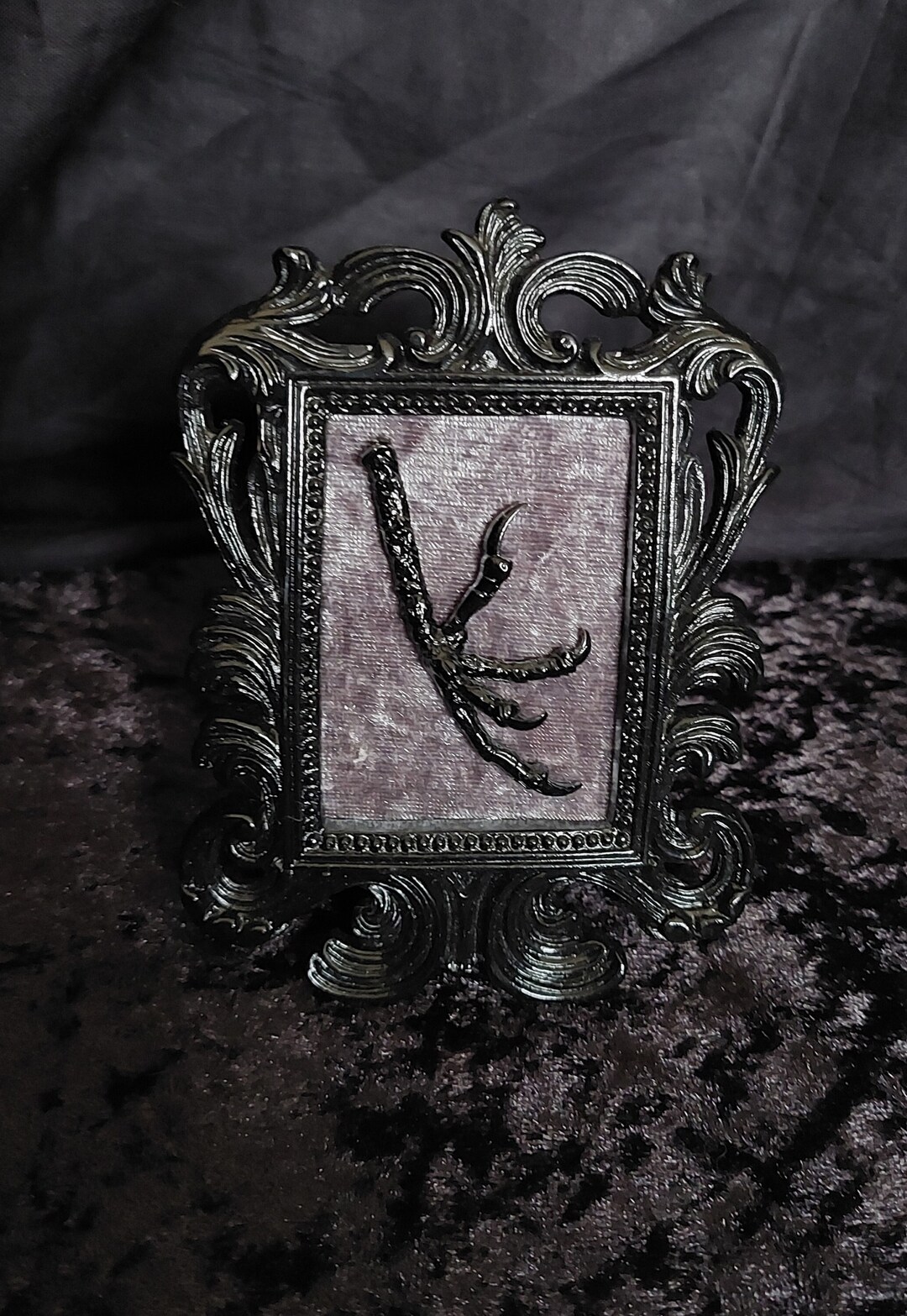 Gothic Unusual Crow Raven Foot in Vintage Style Ornate Frame on Velvet ...
