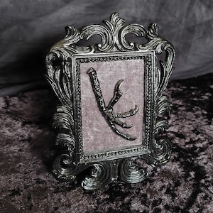 Gothic Unusual Crow Raven Foot in Vintage Style Ornate Frame on Velvet ...