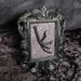 Gothic Unusual Crow Raven Foot in Vintage Style Ornate Frame on Velvet ...