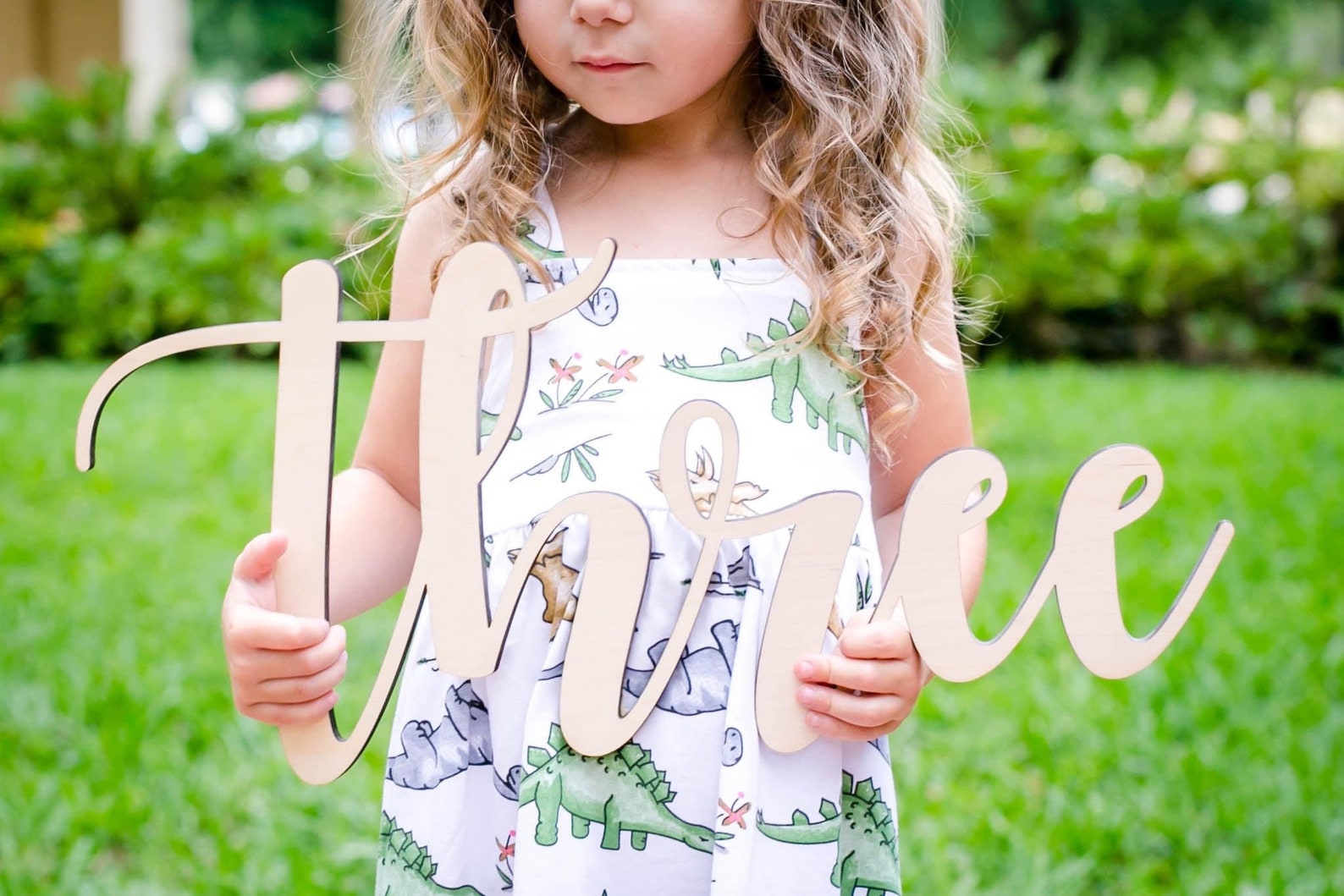 Third Birthday Sign Three Sign Child Photography Prop - Etsy