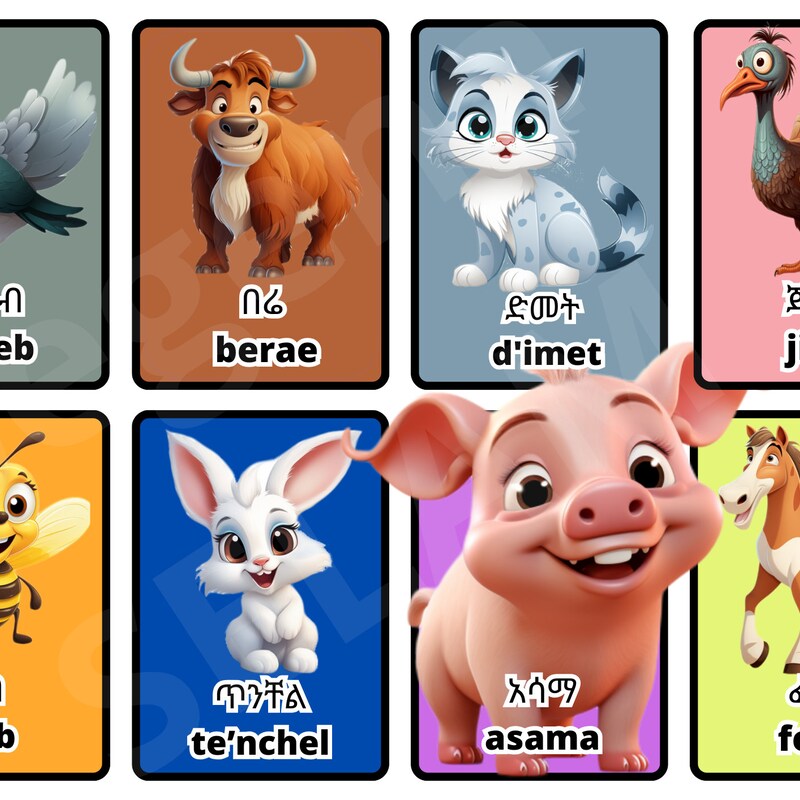 Amharic Flash Cards - Etsy