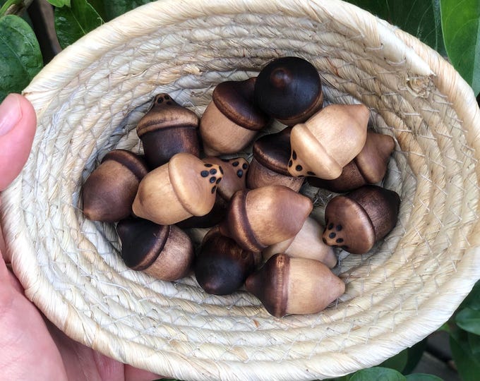Set of 12 Felted Almond Colored Acorns With Natural Acorn Cap. Fall ...