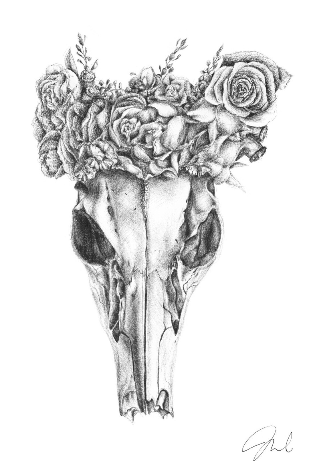 Skull Print - Etsy