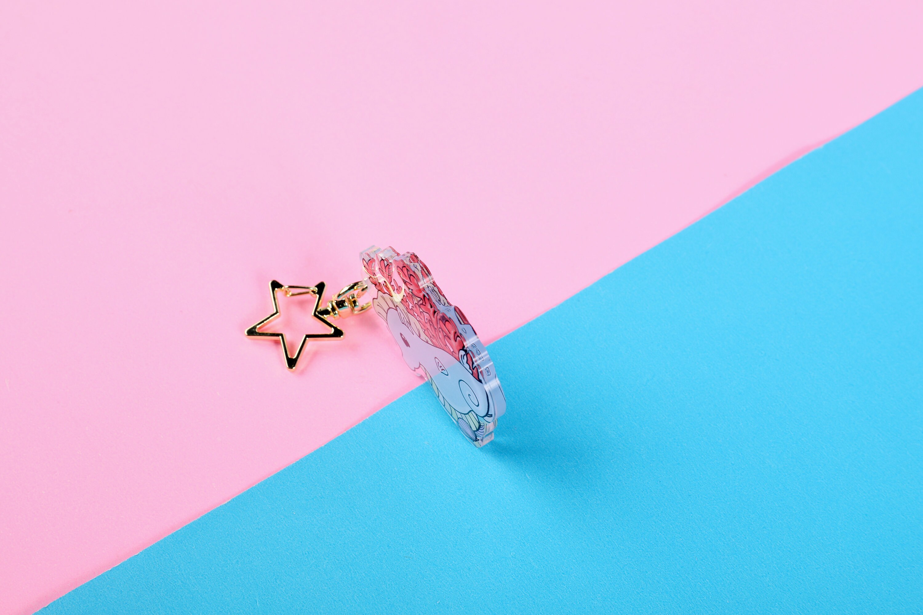 Seahorse Acrylic Keychain, Cute Keyring With Star Clasp, Aesthetic ...