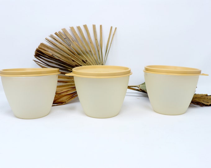 Tupperware Refrigerator Bowls With Lids 16oz Set of 3 / - Etsy