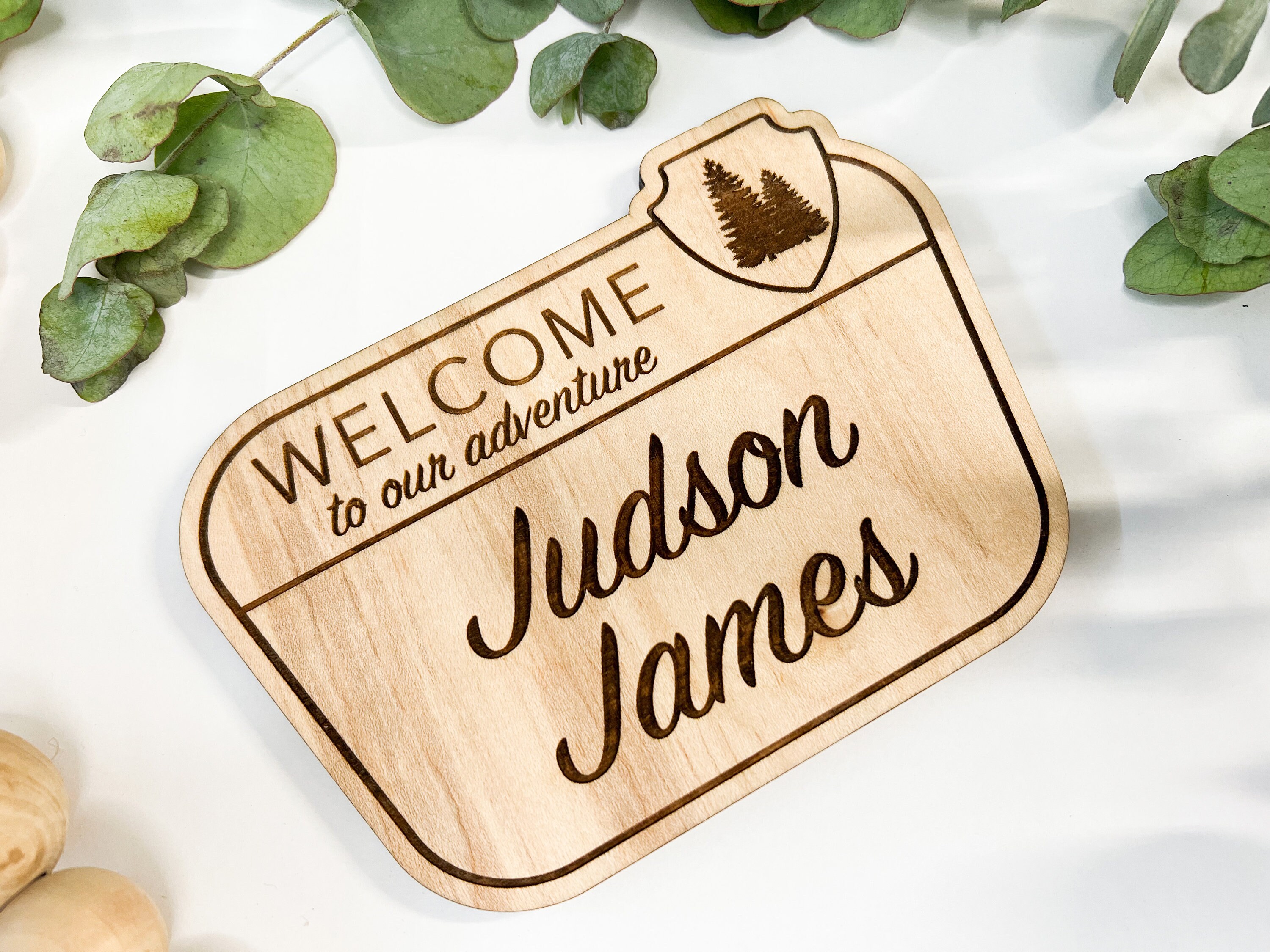 National Park Sign / Baby Announcement Sign / Baby Name Sign / - Etsy