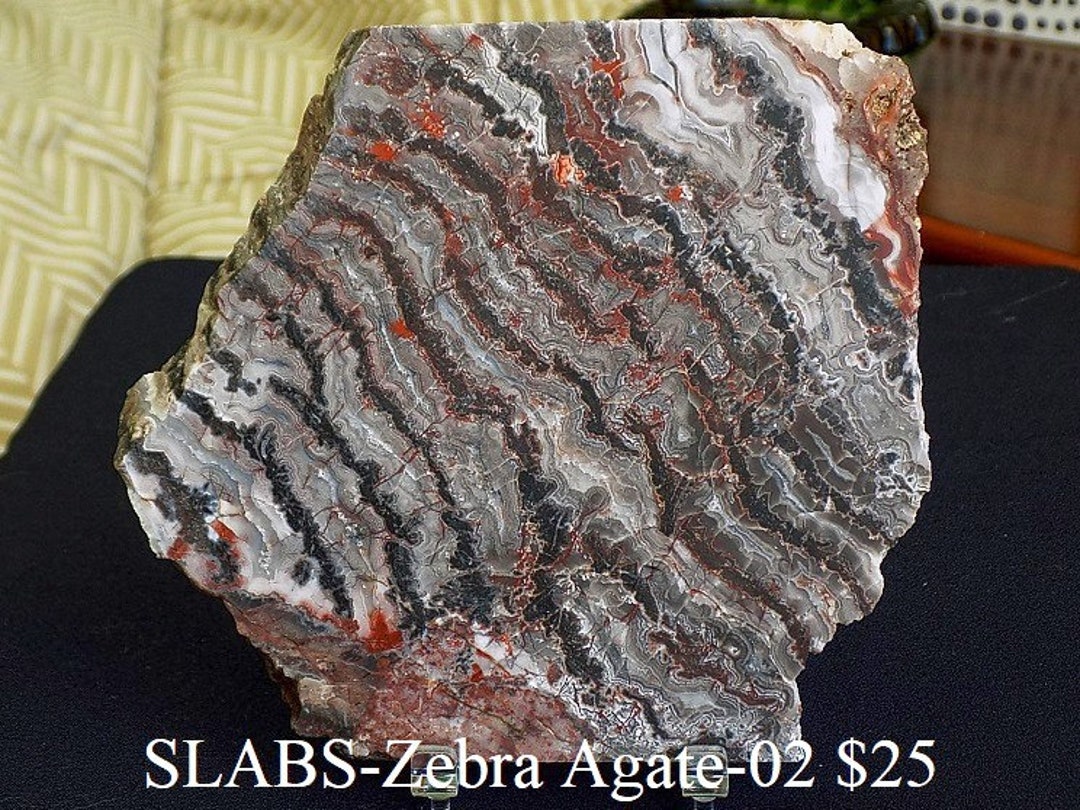 Slabs ZEBRA AGATE From Mexico slabs-zebra Agate-02 - Etsy