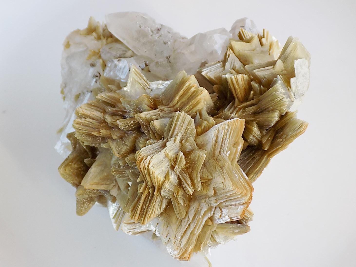Rocks and Minerals Star MUSCOVITE Mica From Brazil brazil-muscovite-04 ...