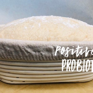 California Gold Rush Sourdough Starter Culture Bread Yeast - Etsy