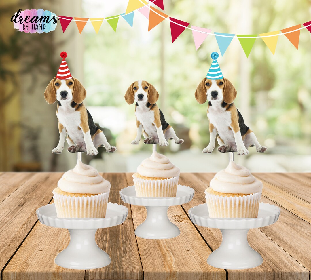 Beagle Photo Cupcake Toppers: Animal Party Decor - Etsy