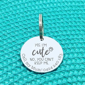 Personalised Dog Tag, Yes I'm Cute, No You Can't Keep Me, Dog Tag, Dog ...